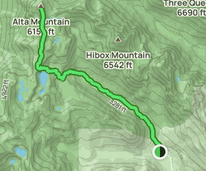Alta Mountain South Ridge Climber's Trail: 204 Reviews, Map ...