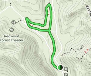 Armstrong Redwoods Grove Loop Trail: 993 foto - California | AllTrails