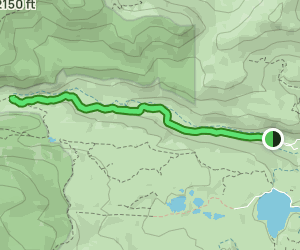 Buchanan Pass and Camp Dick Trail: 201 Reviews, Map - Colorado | AllTrails