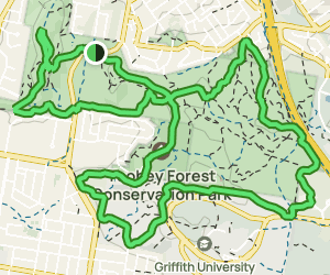 Toohey Forest Circut: 66 Reviews, Map - Queensland, Australia | AllTrails