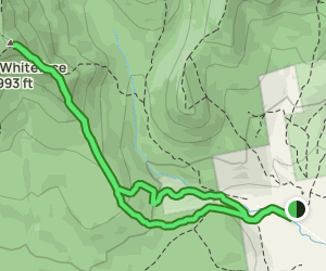 Mount Whiteface via Blueberry Ledge Trail: 799 Reviews, Map - New ...