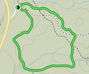 Limberlost Trail: 646 Reviews, Map - Virginia | AllTrails