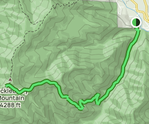 Bonanza Trail | Map, Guide - Oregon | AllTrails