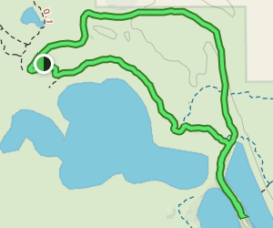 Rifle River Loop | Map, Guide - Michigan | AllTrails