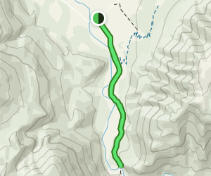 The Cespool of the Arahura: 12 Reviews, Map - West Coast, New Zealand ...