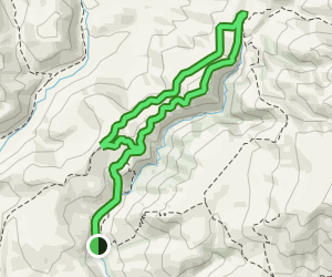 Mount Somers Walkway through Alford Forest: 57 Reviews, Map ...