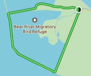 Bear River Bird Refuge Auto Tour: 39 Reviews, Map - Utah | AllTrails