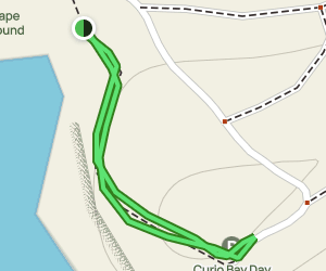 Curio Bay Trail: 10 Reviews, Map - Southland, New Zealand | AllTrails