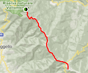 Monte Secchieta - Croce del Pratomagno | Map, Guide - Tuscany, Italy ...