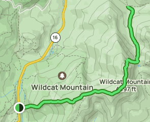 Little Wildcat Mountain Trail: 9 Reviews, Map - New Hampshire | AllTrails