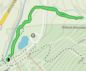 Thompson Falls Trail: 368 Reviews, Map - New Hampshire | AllTrails