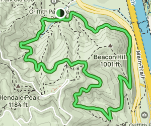 Beacon Hill Fern Canyon Loop Trail: 1.879 foto's - Californië | AllTrails