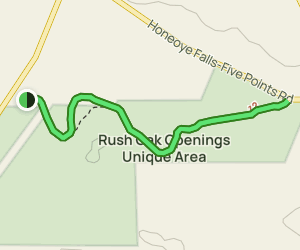 Rush Oak Openings Unique Area Trail: 50 Reviews, Map - New York | AllTrails