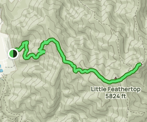 Mount Feathertop via Bungalow Spur: 149 Reviews, Map - Victoria ...