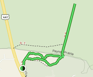 Bolen Bluff Trail: 692 Reviews, Map - Florida | AllTrails