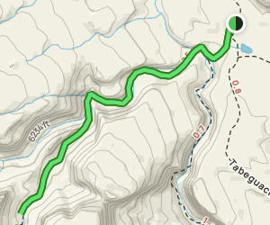 Mica Mines Trail: 699 Reviews, Map - Colorado | AllTrails