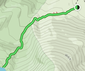 Emma Lake Trail: 96 Reviews, Map - California | AllTrails