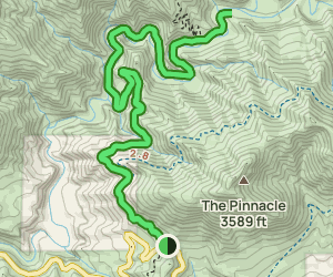 Dagger Flat Trail: 52 Reviews, Map - California | AllTrails