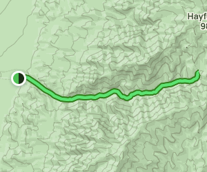 Hidden Forest Trail: 243 Reviews, Map - Nevada | AllTrails