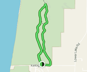 AllTrails | Tolowa Dunes Kellogg Loop Trail: 19 Reviews, Map - California