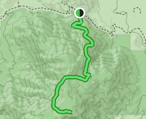 Cahuilla Mountain Trail, California - 81 Reviews, Map | AllTrails