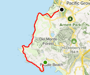 Pebble Beach Cruise - California | AllTrails