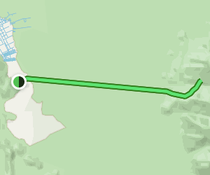 Palung Mountain | Map, Guide - West Kalimantan, Indonesia | AllTrails