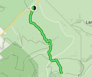 Tanbark Trail: 125 Reviews, 186 Photos, Map - Pennsylvania | AllTrails