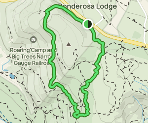 Roaring Camp Loop Trail: 229 Reviews, Map - California | AllTrails