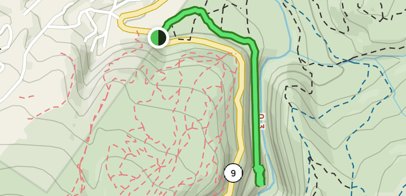 Garden Of Eden Santa Cruz Directions | Fasci Garden