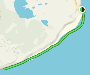 Pouto Point Beach Walk: 2 Reviews, Map - Northland, New Zealand | AllTrails