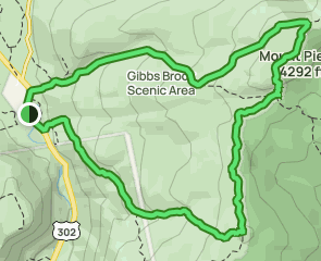 Mount Jackson and Mount Pierce via Webster Jackson Trail and Crawford ...