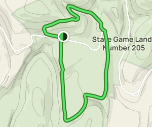 State Gamelands 205 Loop: 11 Reviews, Map - Pennsylvania | AllTrails