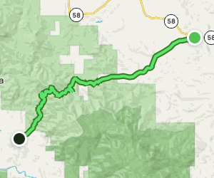Pozo Road OHV Trail: 23 Reviews, Map - California | AllTrails