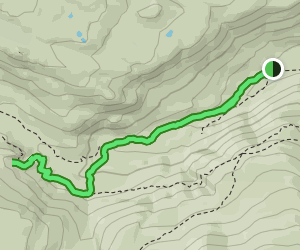 Ouzel Falls via Wild Basin Trail: 4226 Reviews, Map - Colorado | AllTrails