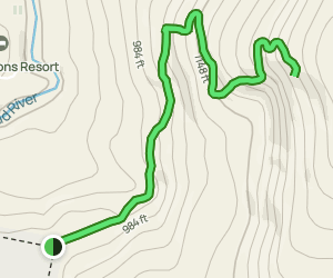 Vista Trail via Warren Path: 32 Reviews, Map - Vermont | AllTrails