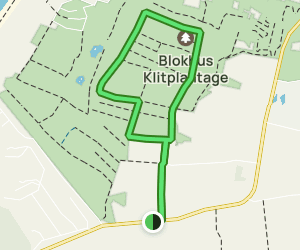 Blokhus Klitplantage - Blokhus Klit Camping - North Denmark, Denmark ...