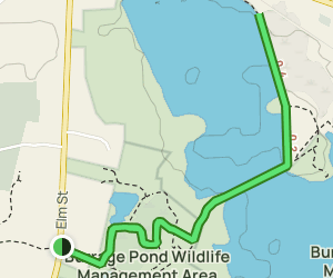 Burrage Pond Indian Trail - Massachusetts | AllTrails