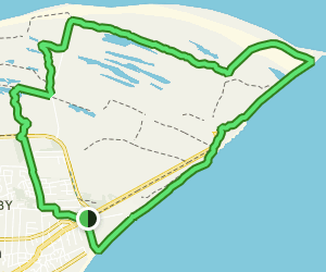 Skagens Vippe Fyr - Skagens Odde - Grenen: 11 Reviews, Map - North ...