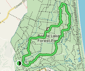 Bottle Lake Forest Blue Track: 174 Reviews, Map - Canterbury, New ...