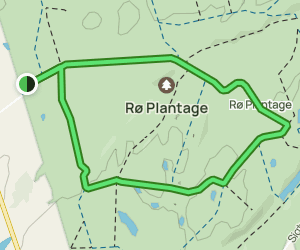 Rø Plantage -Bromme Å - Bornholm, Denmark | AllTrails