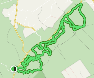 Wambaw Cycle Trail: 5 Reviews, Map - South Carolina | AllTrails