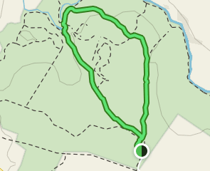 Tanglewood Loop, Maine - 45 Reviews, Map | AllTrails