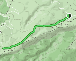 Tilly Jane Trail, Oregon - 564 Reviews, Map | AllTrails