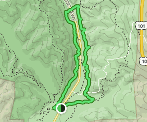 Prairie Creek Redwoods Big Loop: 137 Reviews, Map - California | AllTrails