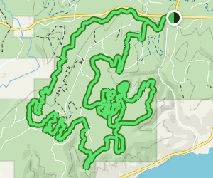 Belfair Single Track System: 6 Reviews, Map - Washington | AllTrails