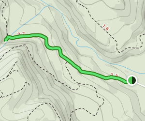 Slide Mountain Falls: 44 Reviews, Map - Oregon | AllTrails