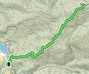 Mount Arthur via Black Possum Track: 1 Reviews, Map - Victoria ...