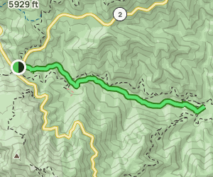 Valley Forge Trail: 167 Reviews, Map - California | AllTrails