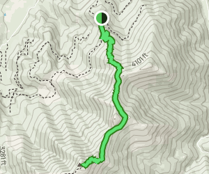 Kerby Peak Trail: 129 Reviews, Map - Oregon | AllTrails